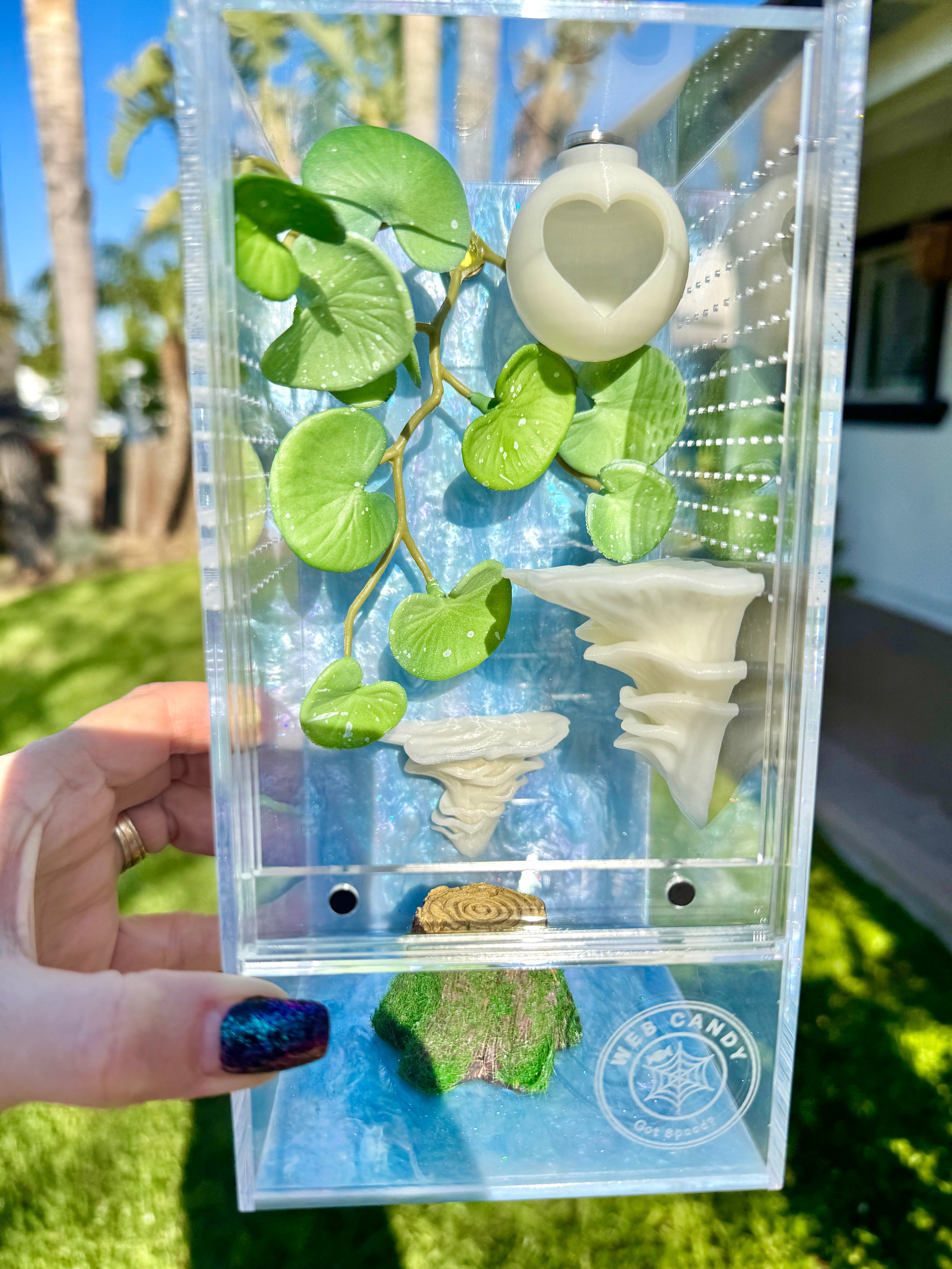 "Lily-palp Pond" 4x4x8 Enclosure | Web Candy, LLC